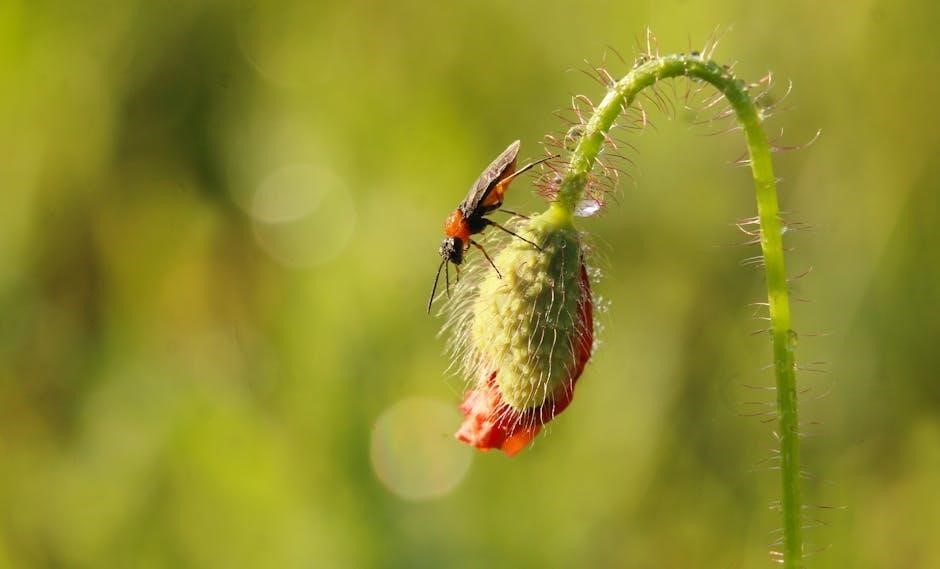 Master Fly Fishing Fly Sizes | Complete Guide